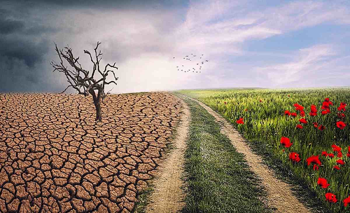 Jak ve Skotsku bojují s klimatickou změnou Jak ve Skotsku bojují s klimatickou změnou